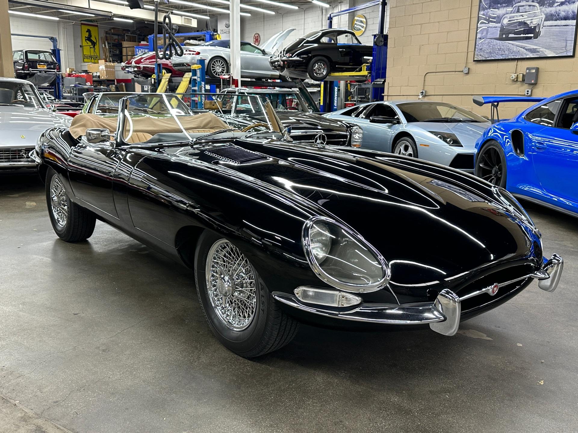 black jaguar e type